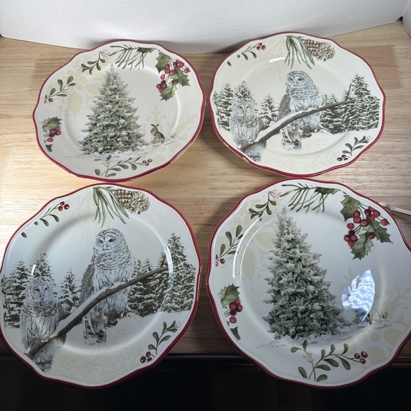 Better Homes And Gardens | Dining | X4 Snow Owl Rabbit Winter By Better ...